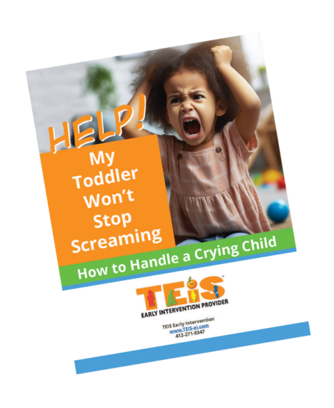 Help, My Toddler Won't Stop Screaming! - TEIS, Inc
